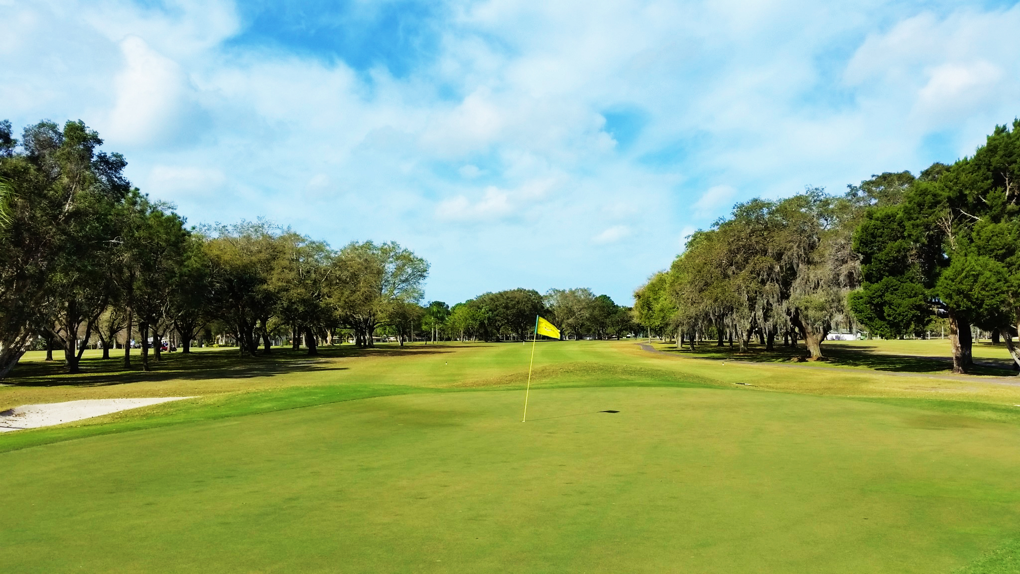 Golf – My Dunedin Golf Condo